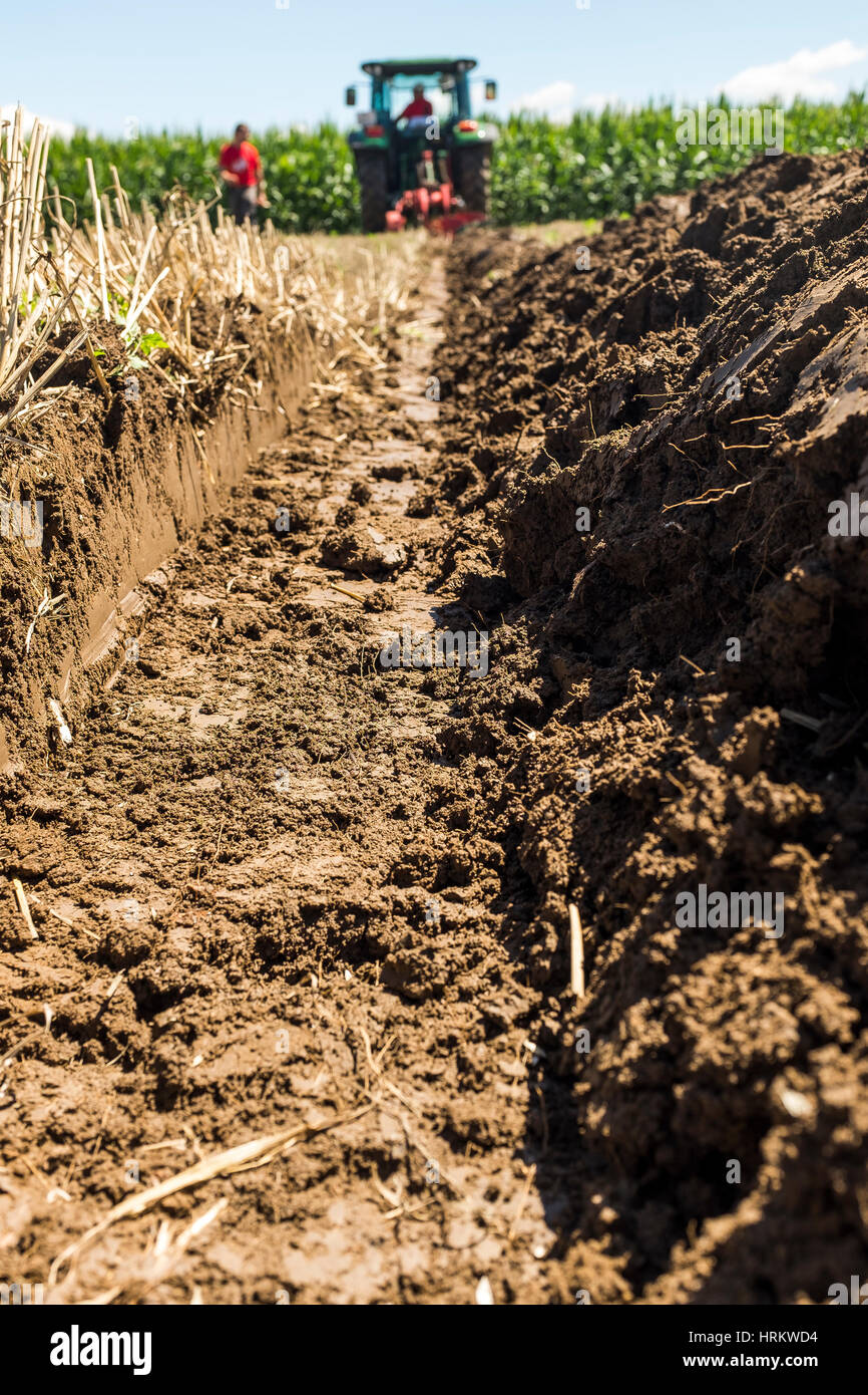 tractor plowing a furrow for planting Stock Photo - Alamy