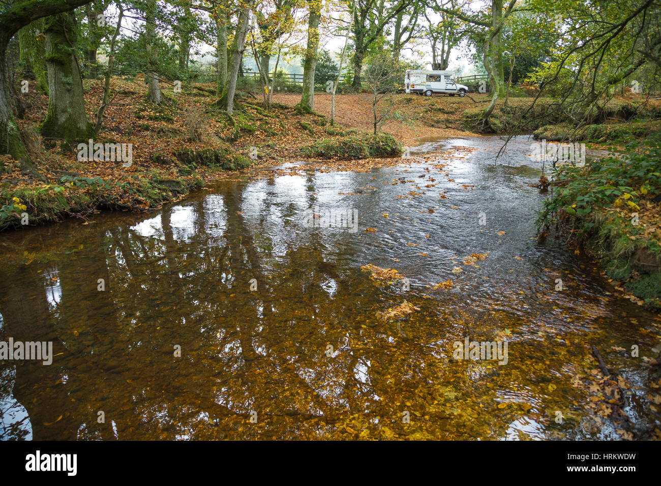 A stream running through The New Forest National Park Stock Photo - Alamy