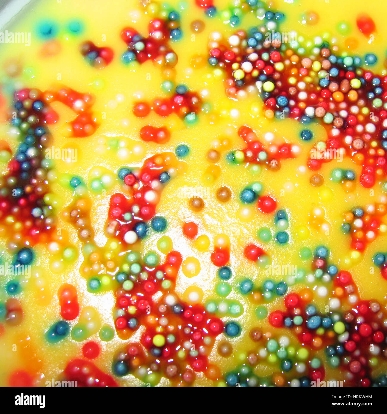 custard with colorful sugar sprinkles Stock Photo - Alamy