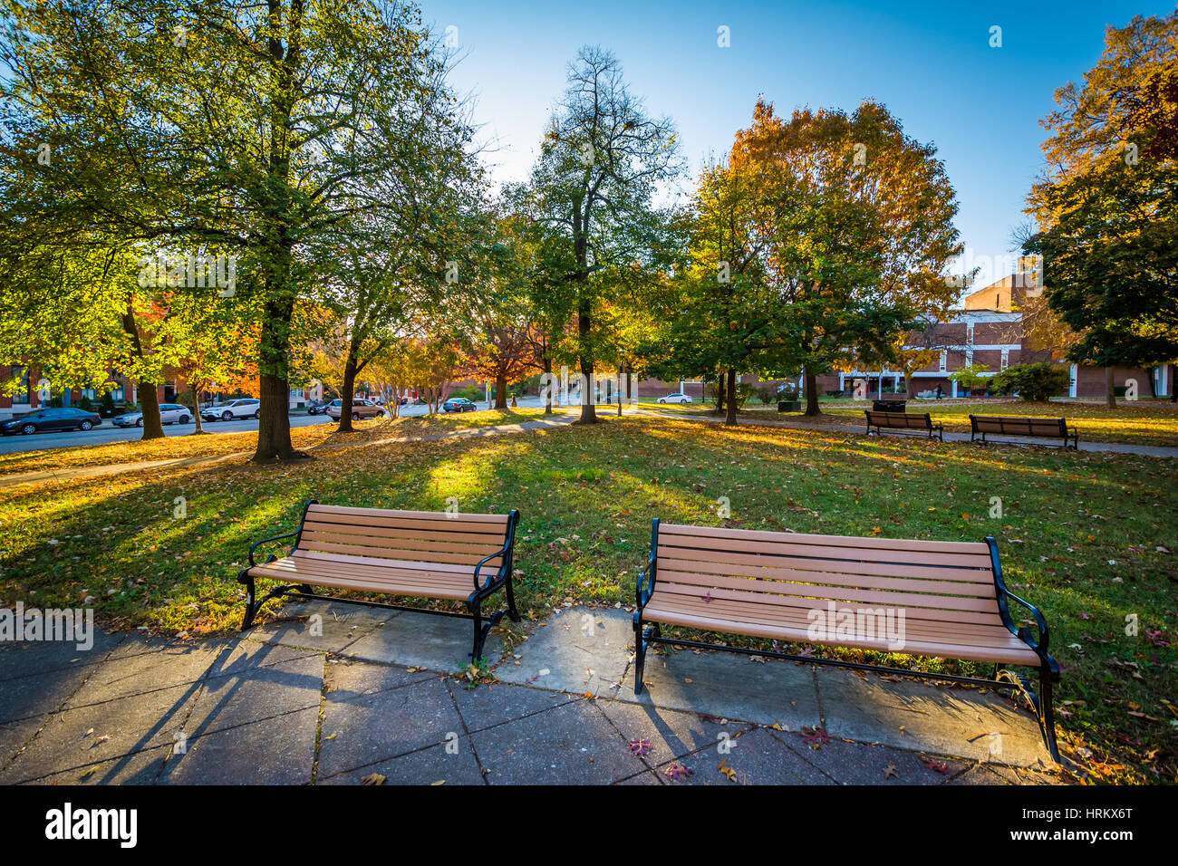 Benches and walkway with autumn color at Union Square, in Baltimore ...
