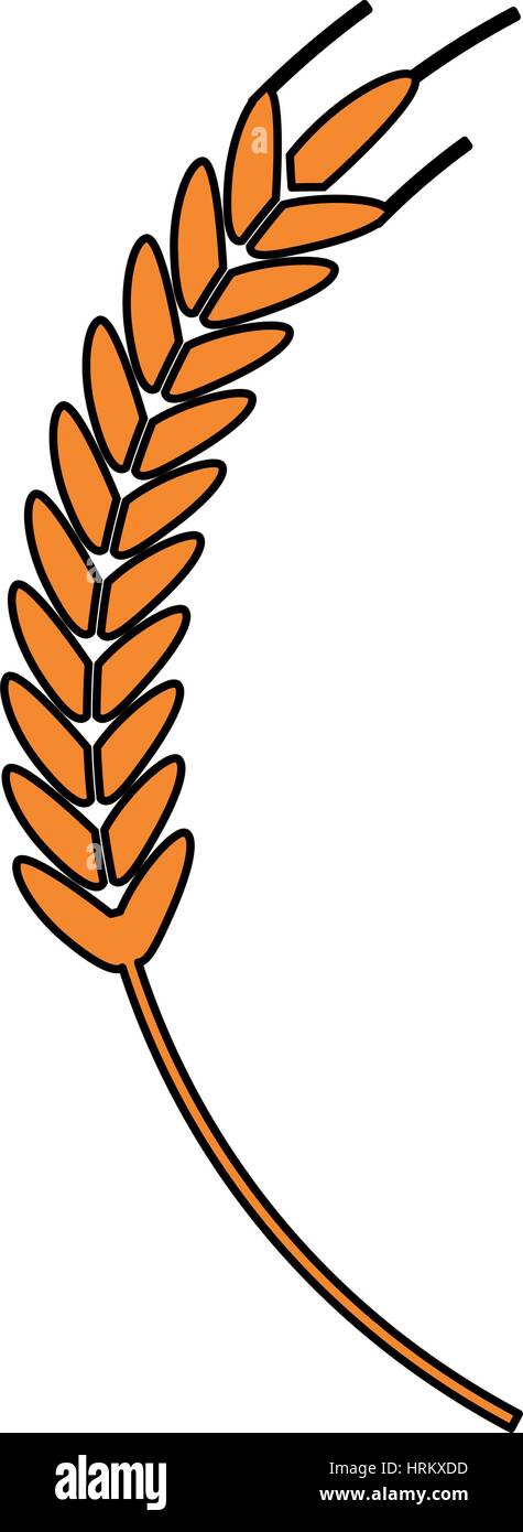wheat ear icon image Stock Vector Image & Art - Alamy