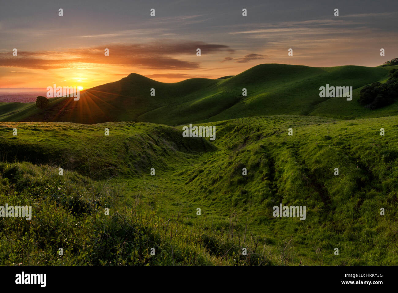 Sunrise over a green field Stock Photo - Alamy