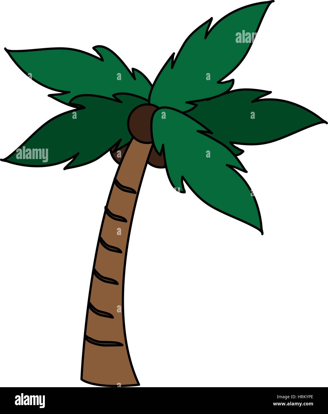 palm tree with coconuts icon image Stock Vector Image & Art - Alamy palm tree with coconuts icon image Stock Vector Image & Art - Alamy