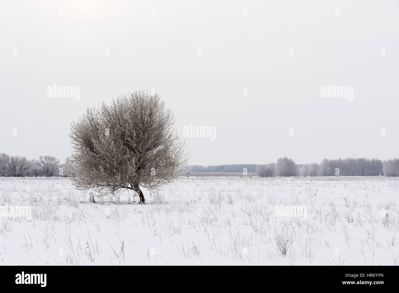 Winter scene depicts snowy hi-res stock photography and images - Alamy