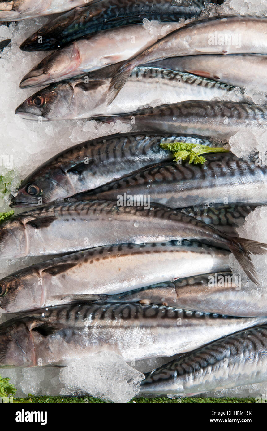 Fresh fish for sale at the local town market stall Stock Photo - Alamy