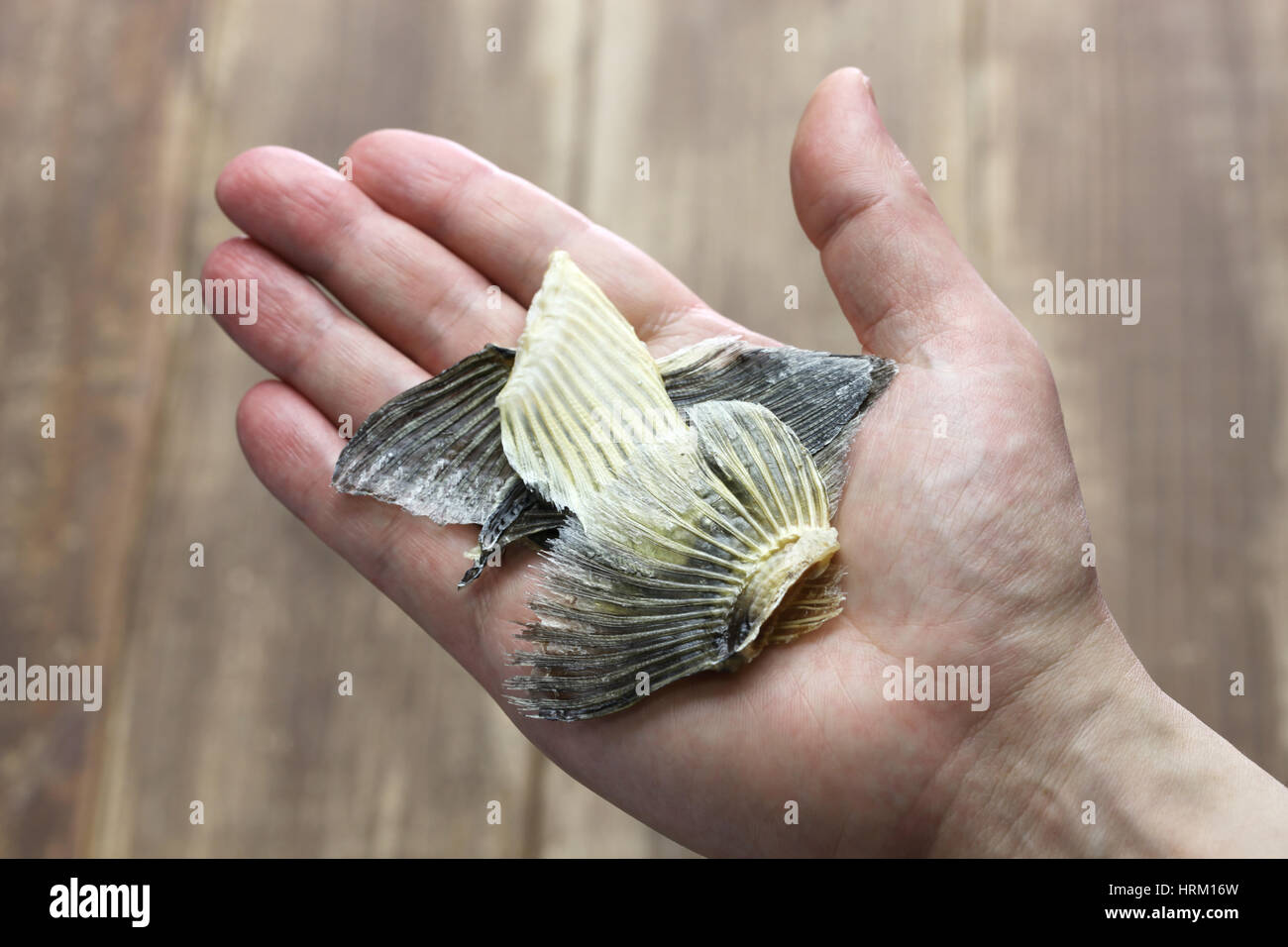 Dried marine product hi-res stock photography and images - Alamy