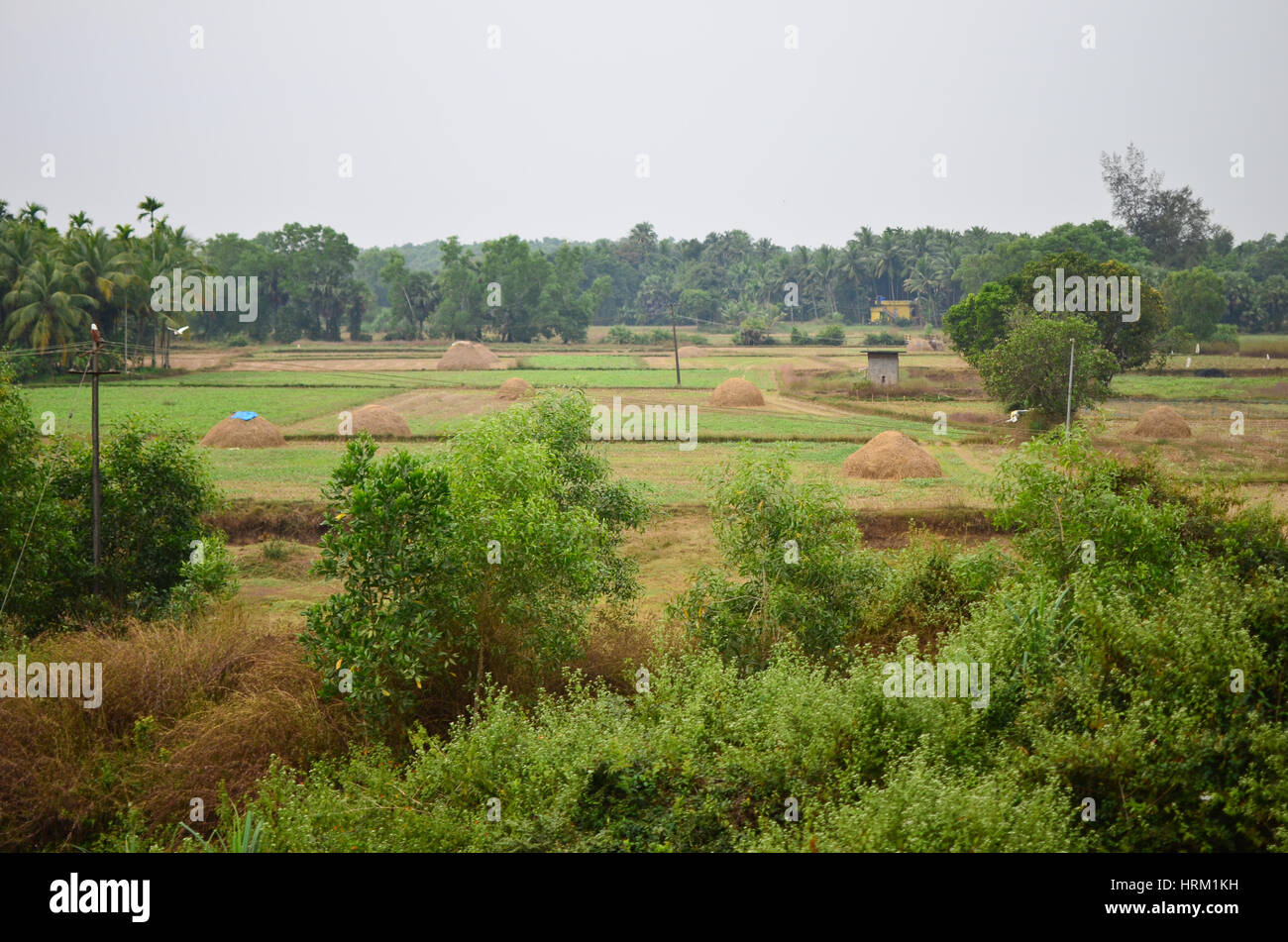 Beautiful landscape of rural India. Scene captured during travel by ...