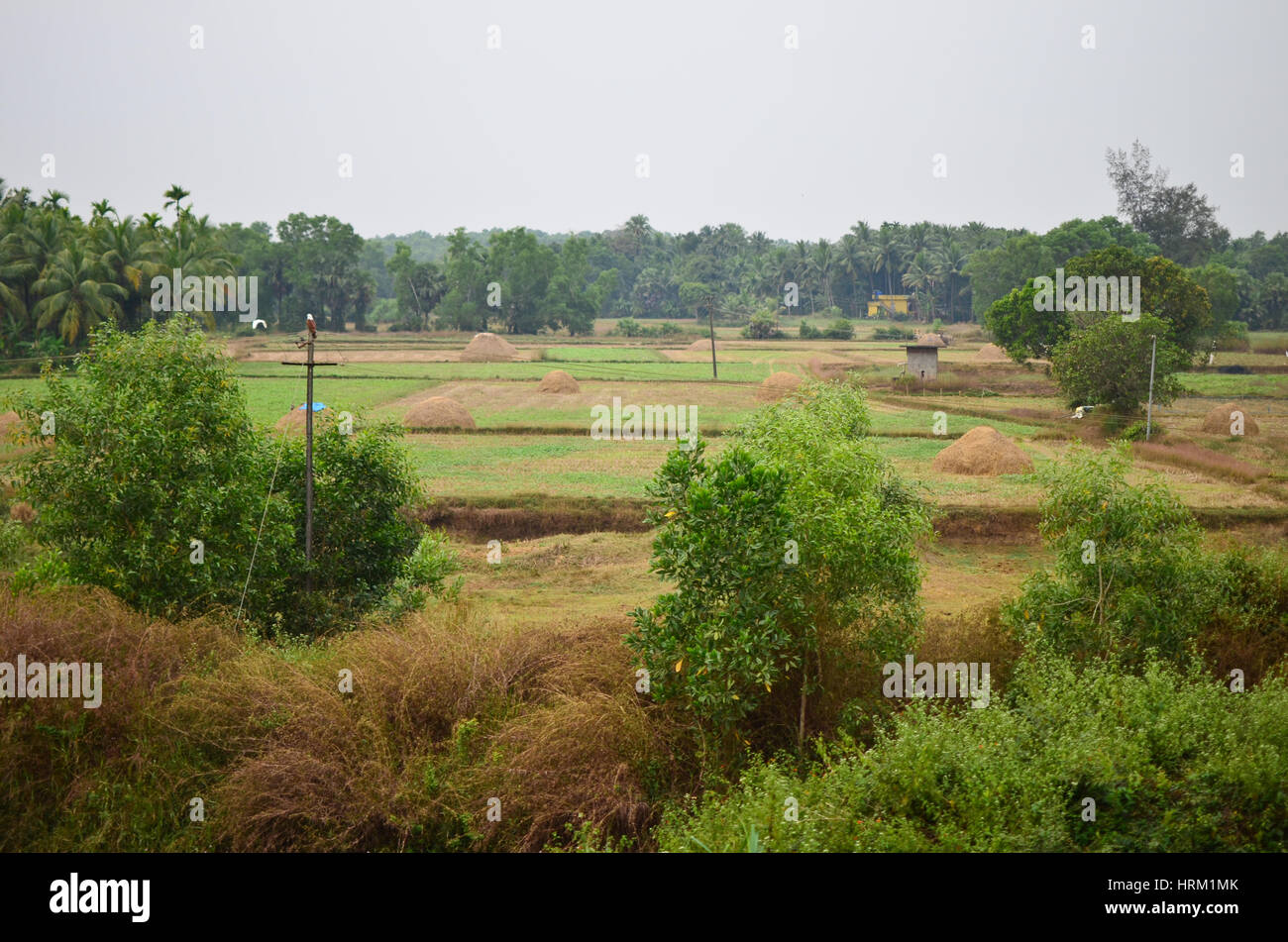 Traditional indian rural scene haystack hi-res stock photography and ...