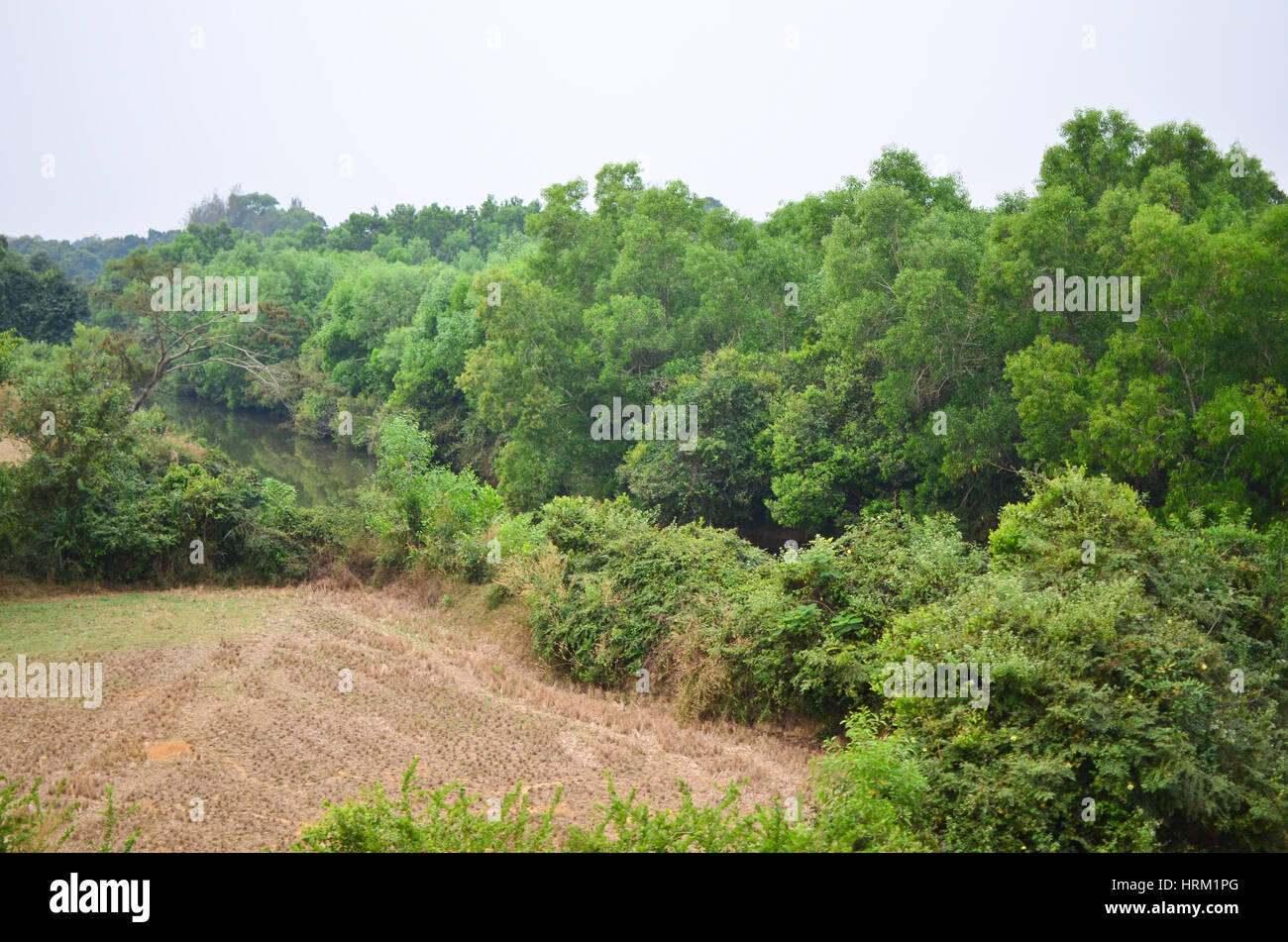 Beautiful landscape of rural India. Scene captured during travel by ...