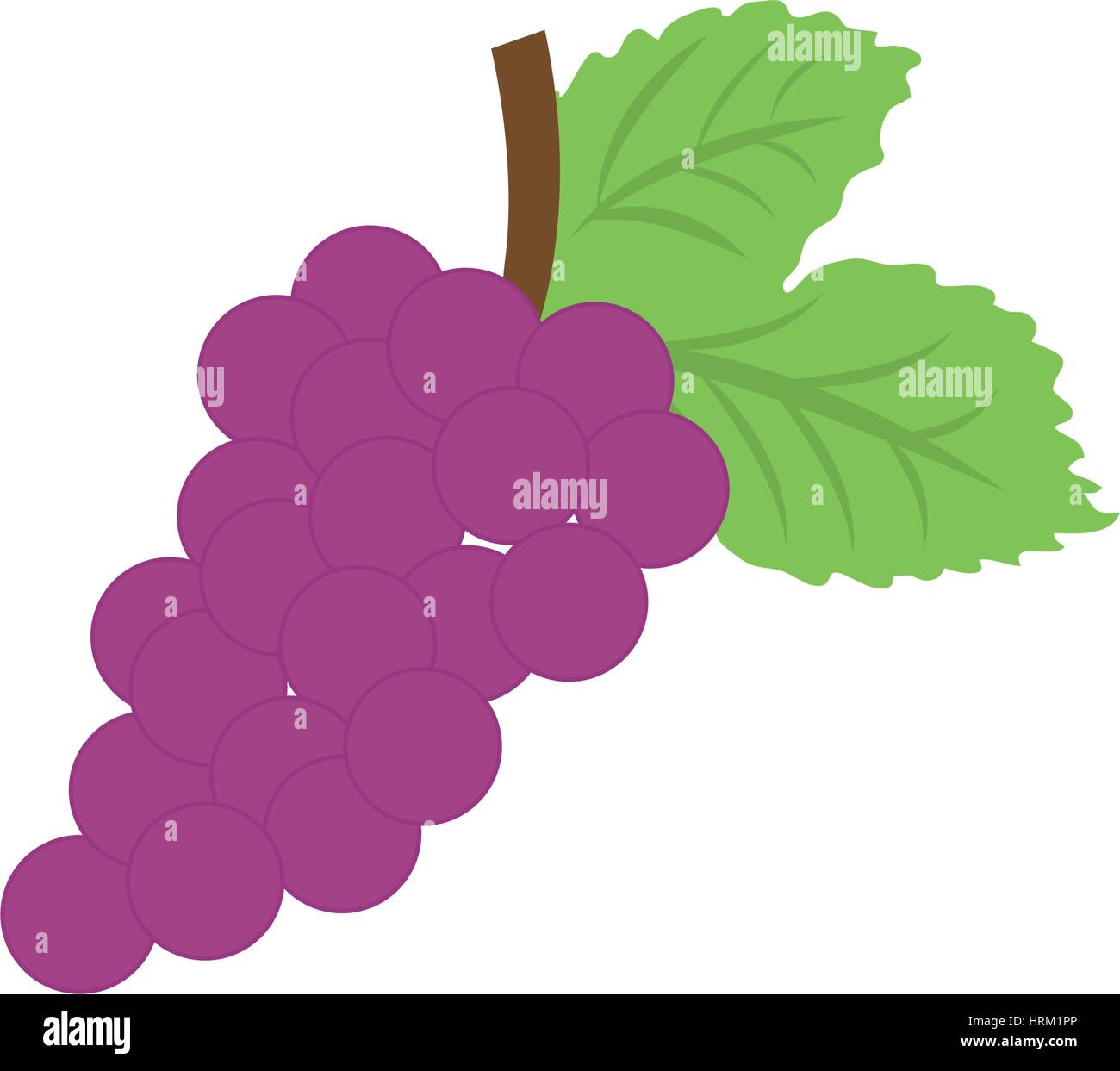 Grapes Delicious fruit Stock Vector Image & Art - Alamy