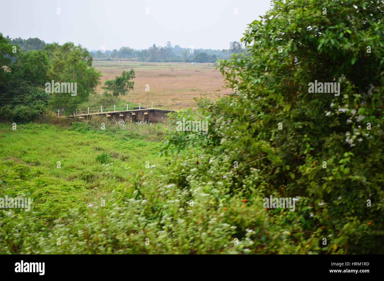 Beautiful landscape of rural India. Scene captured during travel by ...