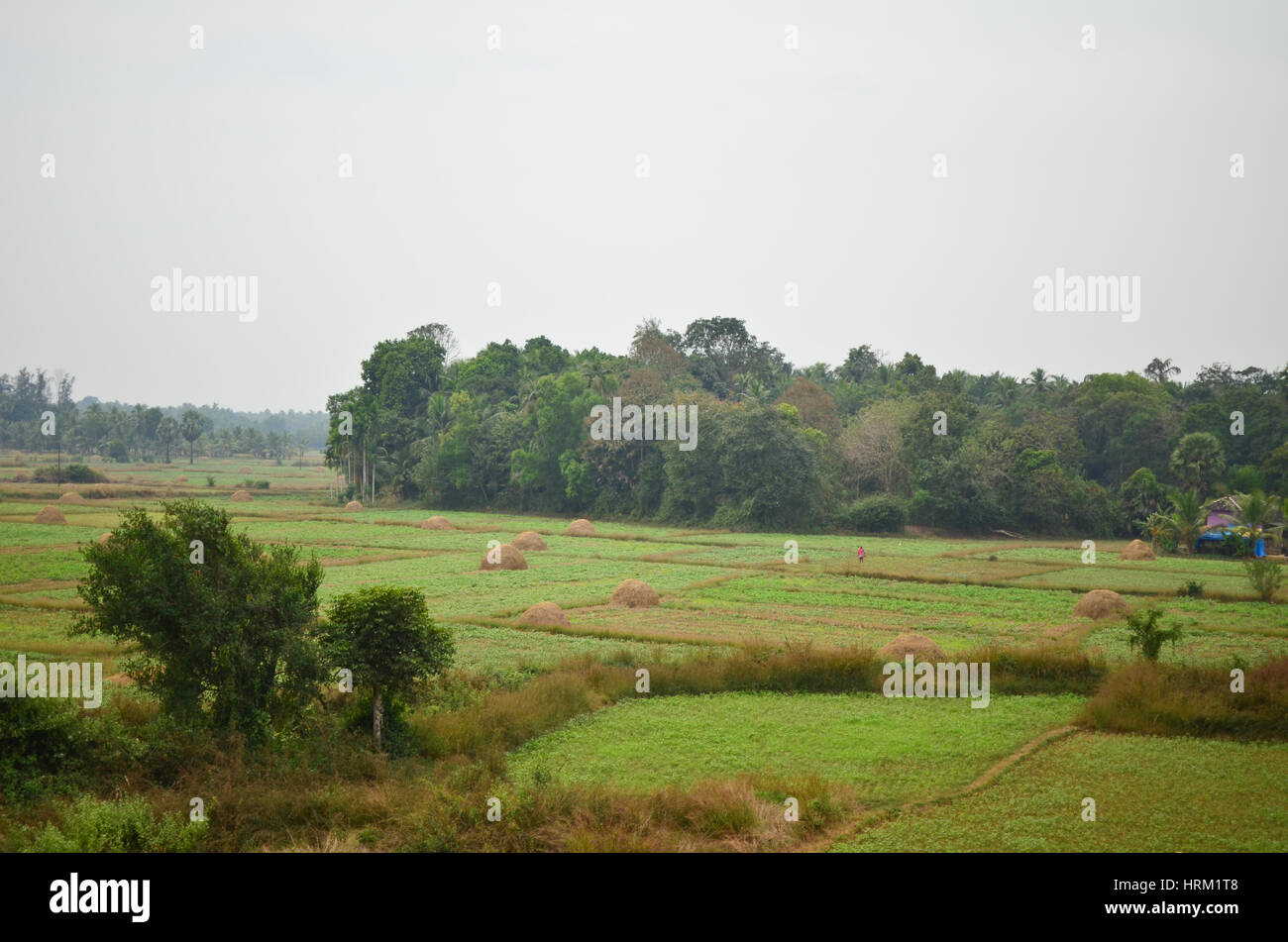 Beautiful landscape of rural India. Scene captured during travel by ...