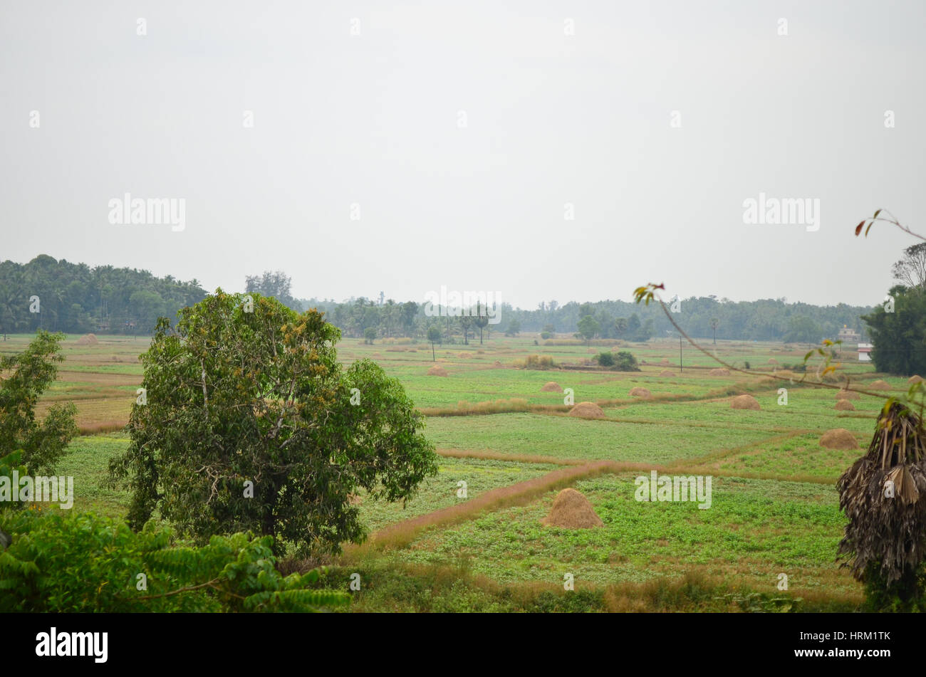 Beautiful landscape of rural India. Scene captured during travel by ...