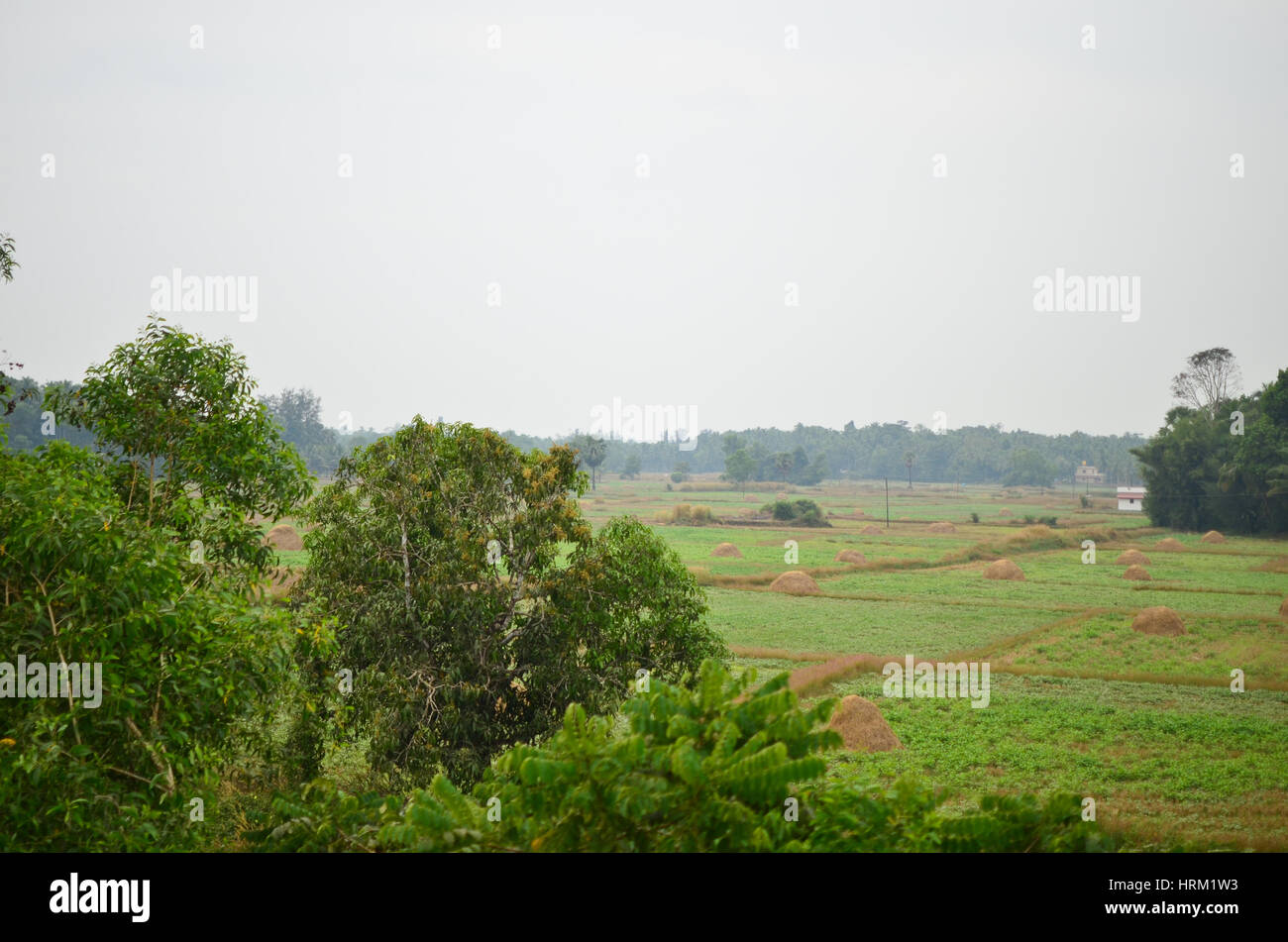 Beautiful landscape of rural India. Scene captured during travel by ...