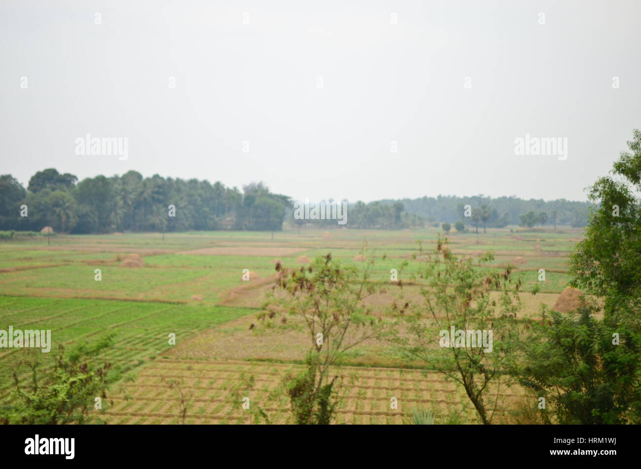 Beautiful landscape of rural India. Scene captured during travel by ...