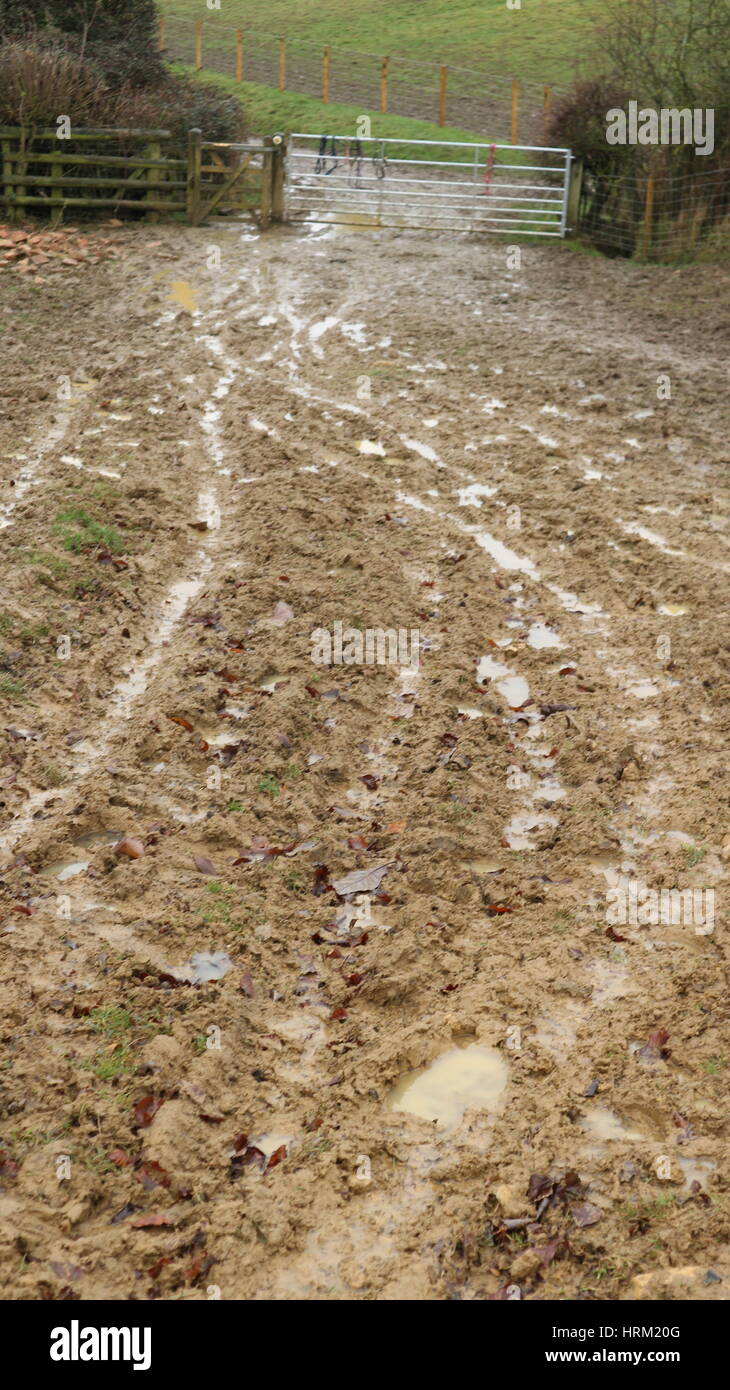 Wet farm field hi-res stock photography and images - Alamy