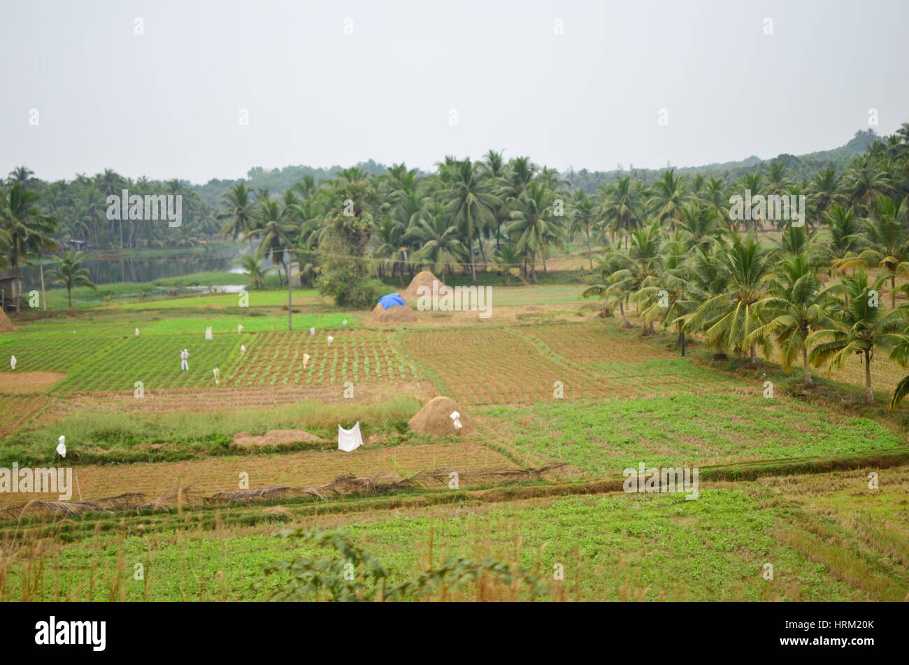 Beautiful landscape of rural India. Scene captured during travel by ...