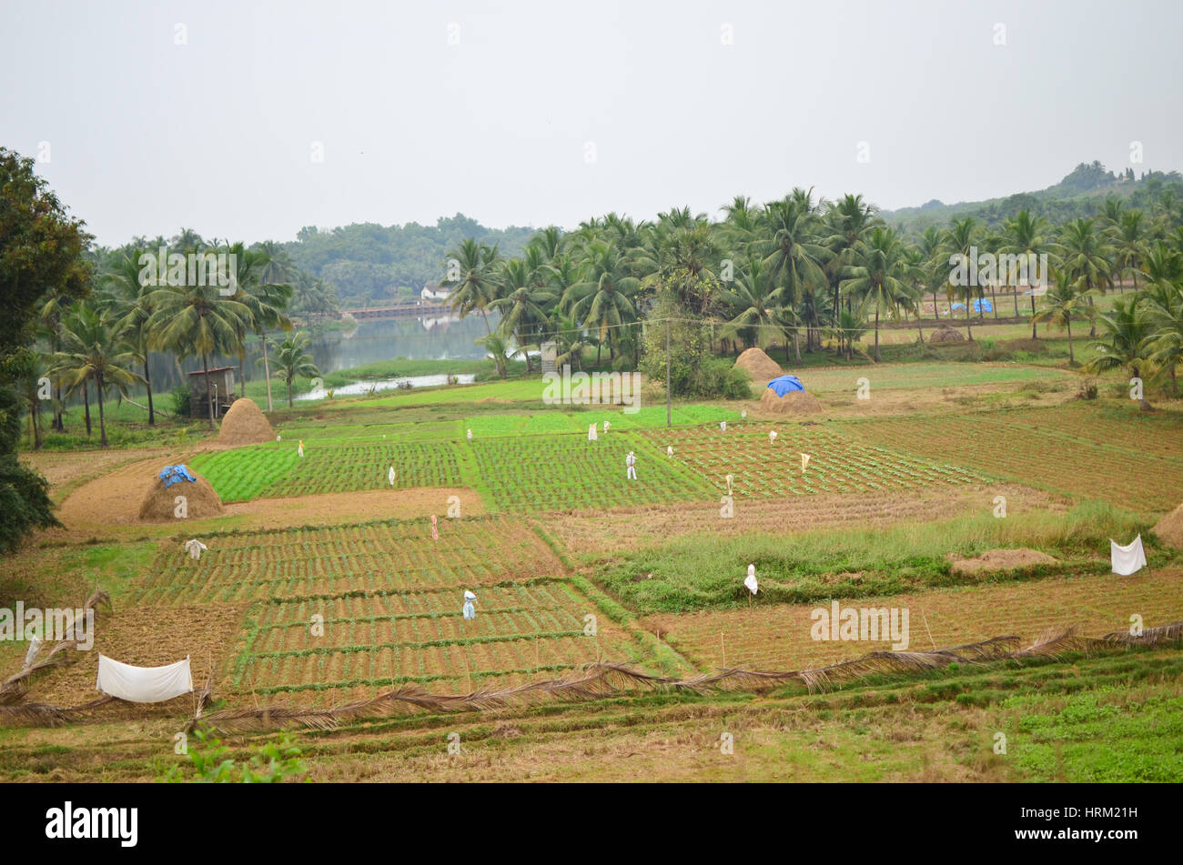 Beautiful landscape of rural India. Scene captured during travel by ...