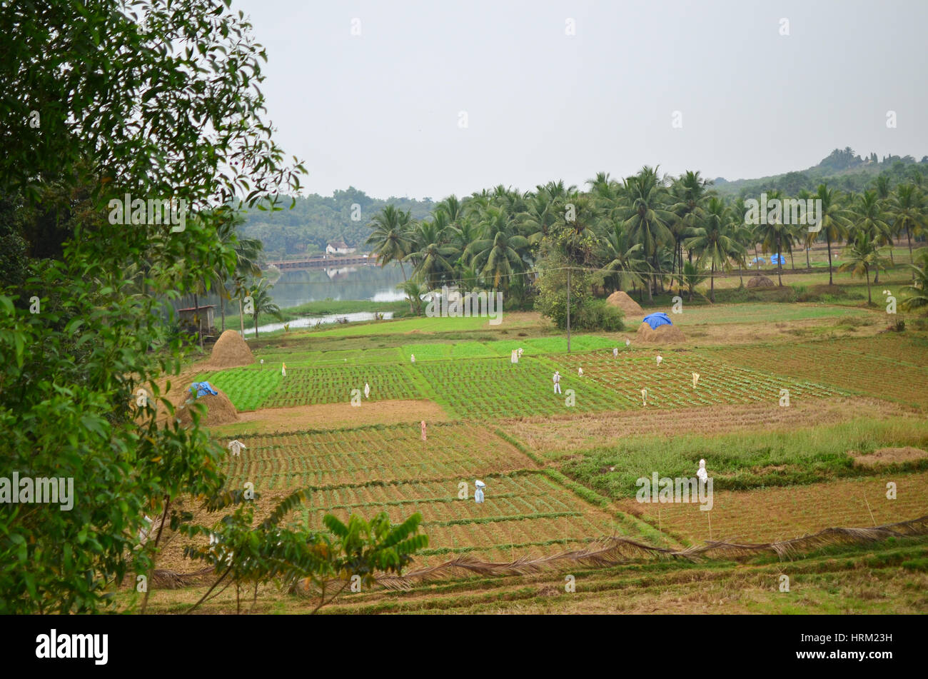 Beautiful landscape of rural India. Scene captured during travel by ...