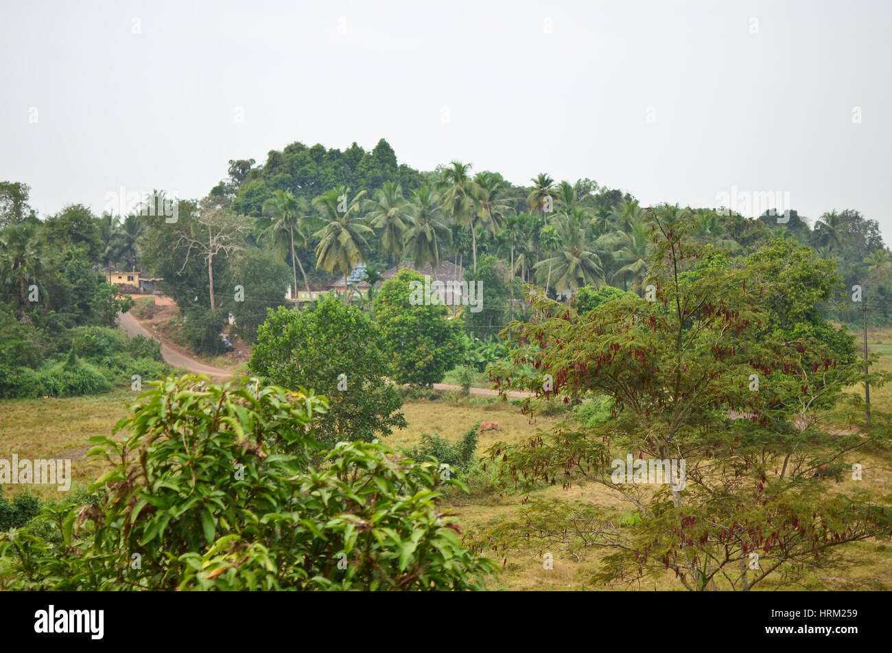 Beautiful landscape of rural India. Scene captured during travel by ...