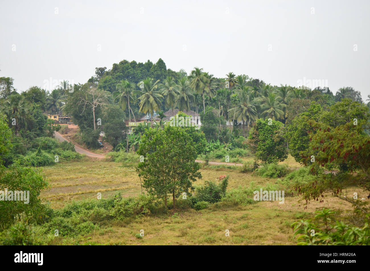 Beautiful landscape of rural India. Scene captured during travel by ...