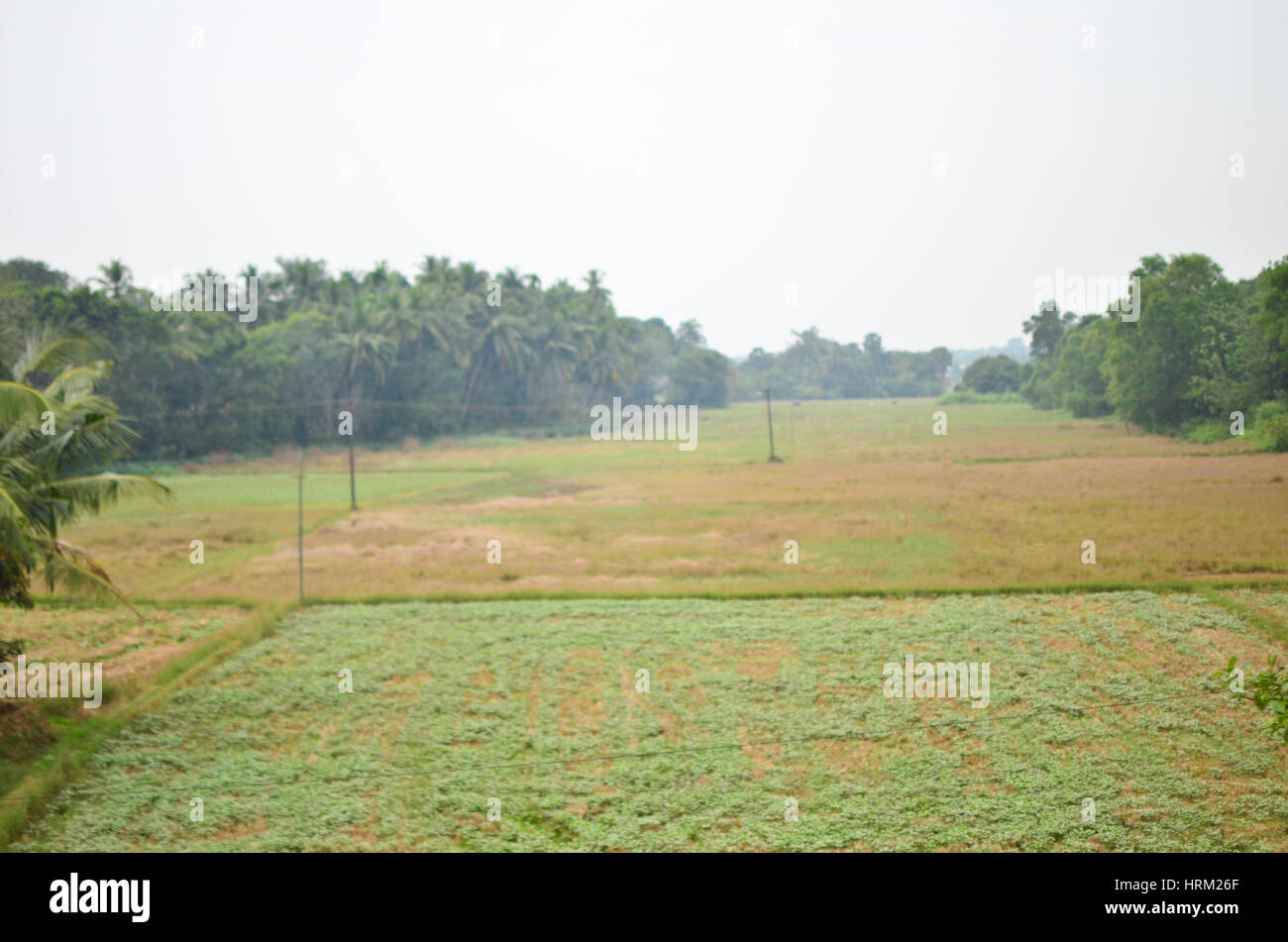 Beautiful landscape of rural India. Scene captured during travel by ...