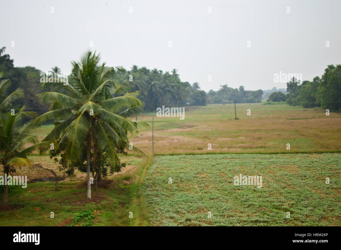 Beautiful landscape of rural India. Scene captured during travel by ...
