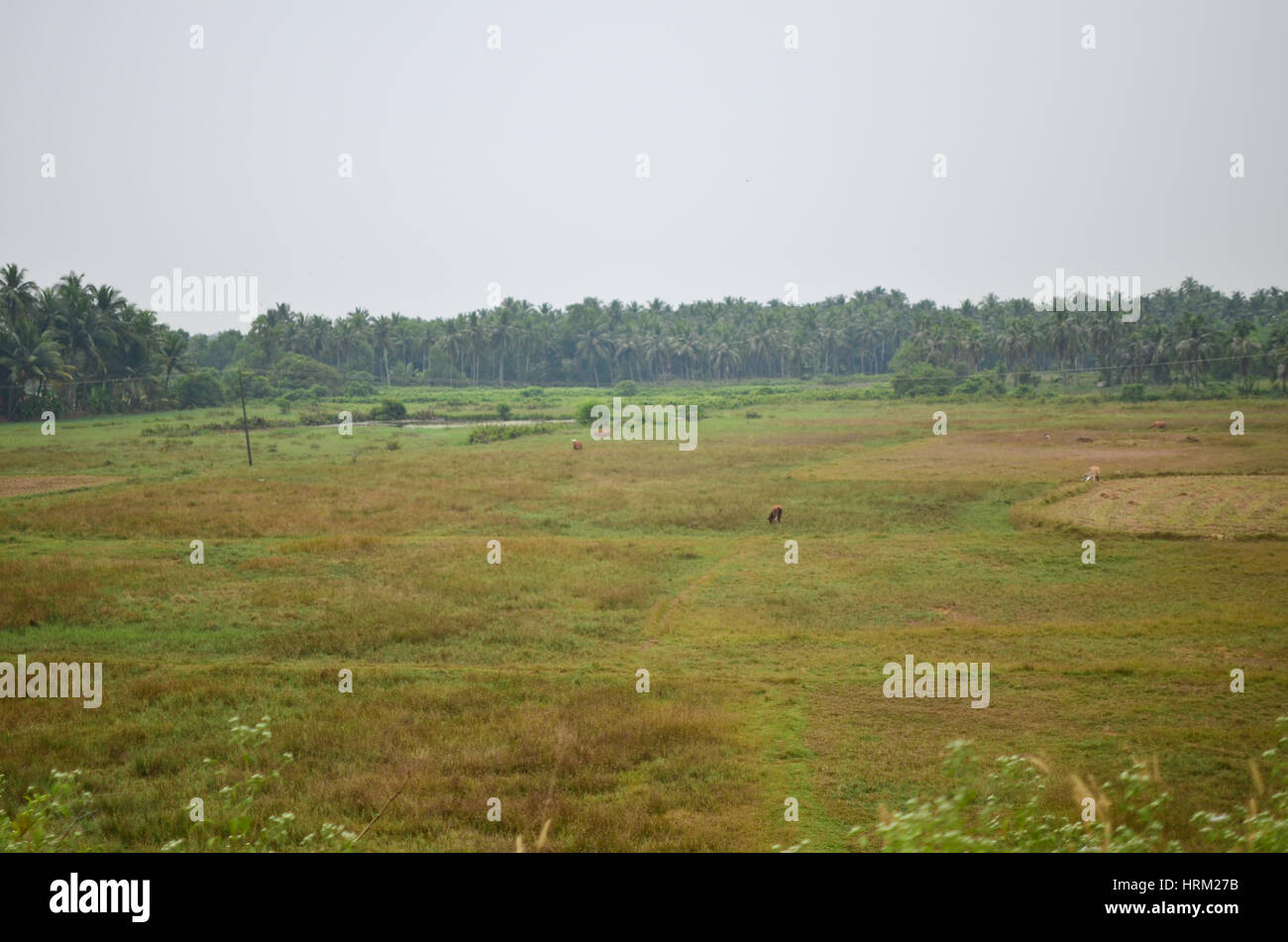 Traditional indian rural scene haystack hi-res stock photography and ...