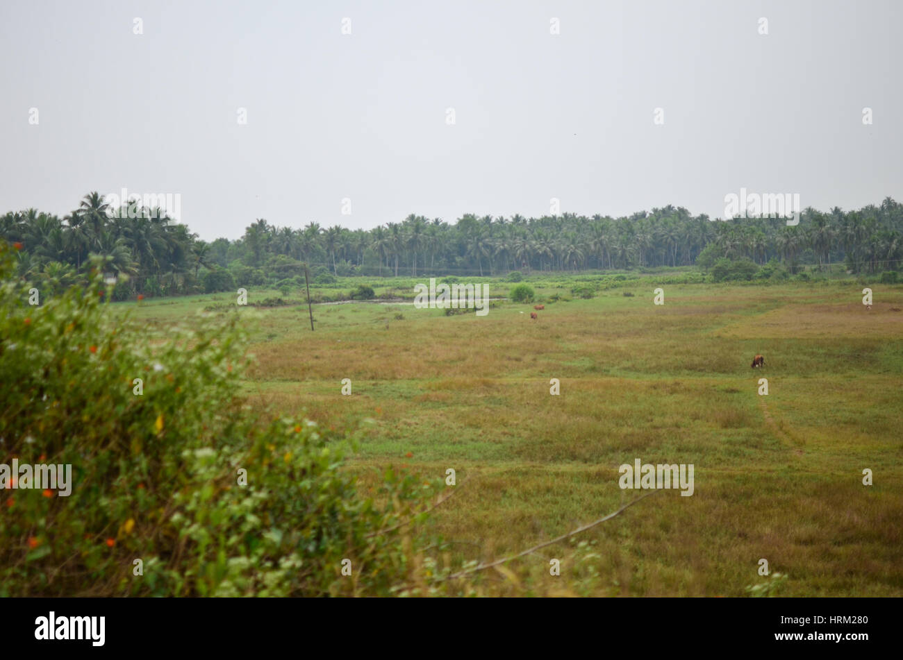 Beautiful landscape of rural India. Scene captured during travel by ...