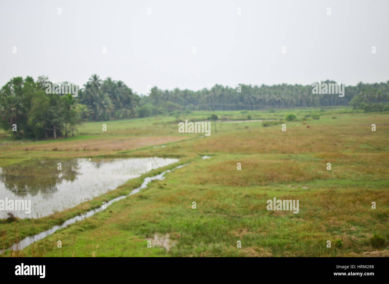 Beautiful landscape of rural India. Scene captured during travel by ...
