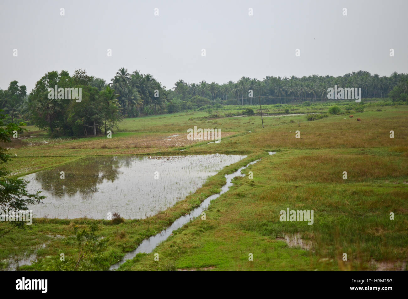 Beautiful landscape of rural India. Scene captured during travel by ...