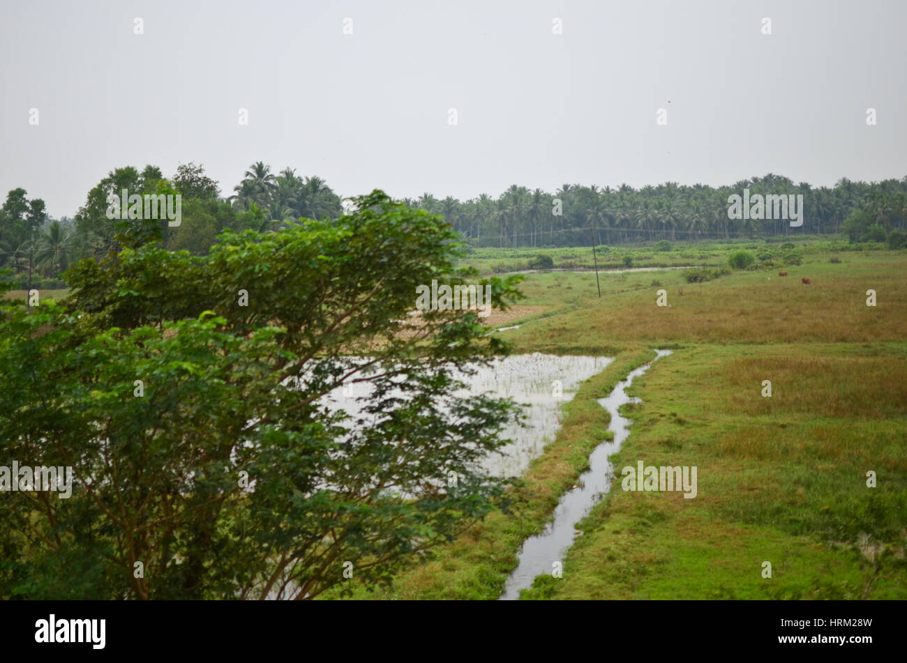 Beautiful landscape of rural India. Scene captured during travel by ...