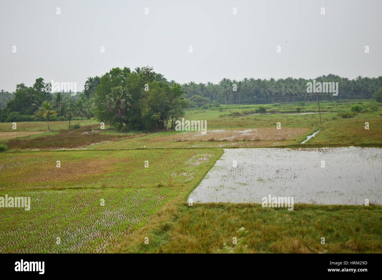 Beautiful landscape of rural India. Scene captured during travel by ...