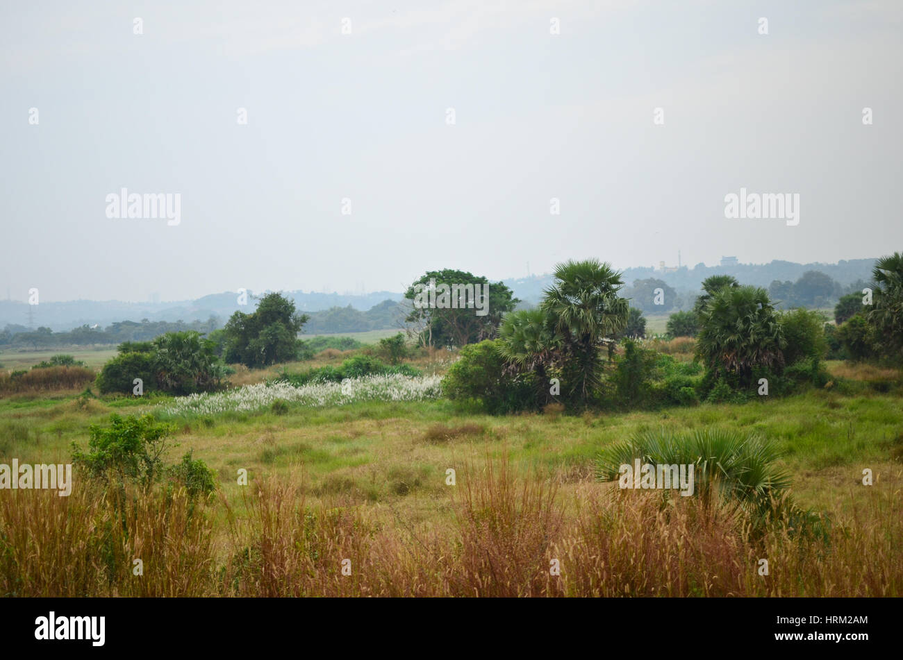 Beautiful landscape of rural India. Scene captured during travel by ...