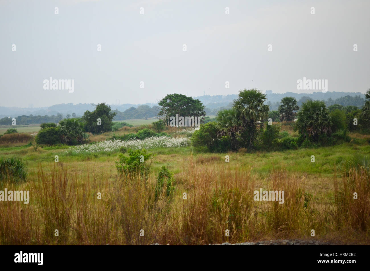 Beautiful landscape of rural India. Scene captured during travel by ...