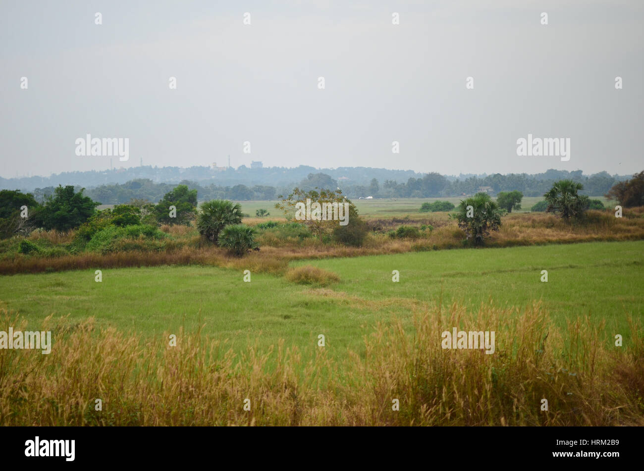 Beautiful landscape of rural India. Scene captured during travel by ...