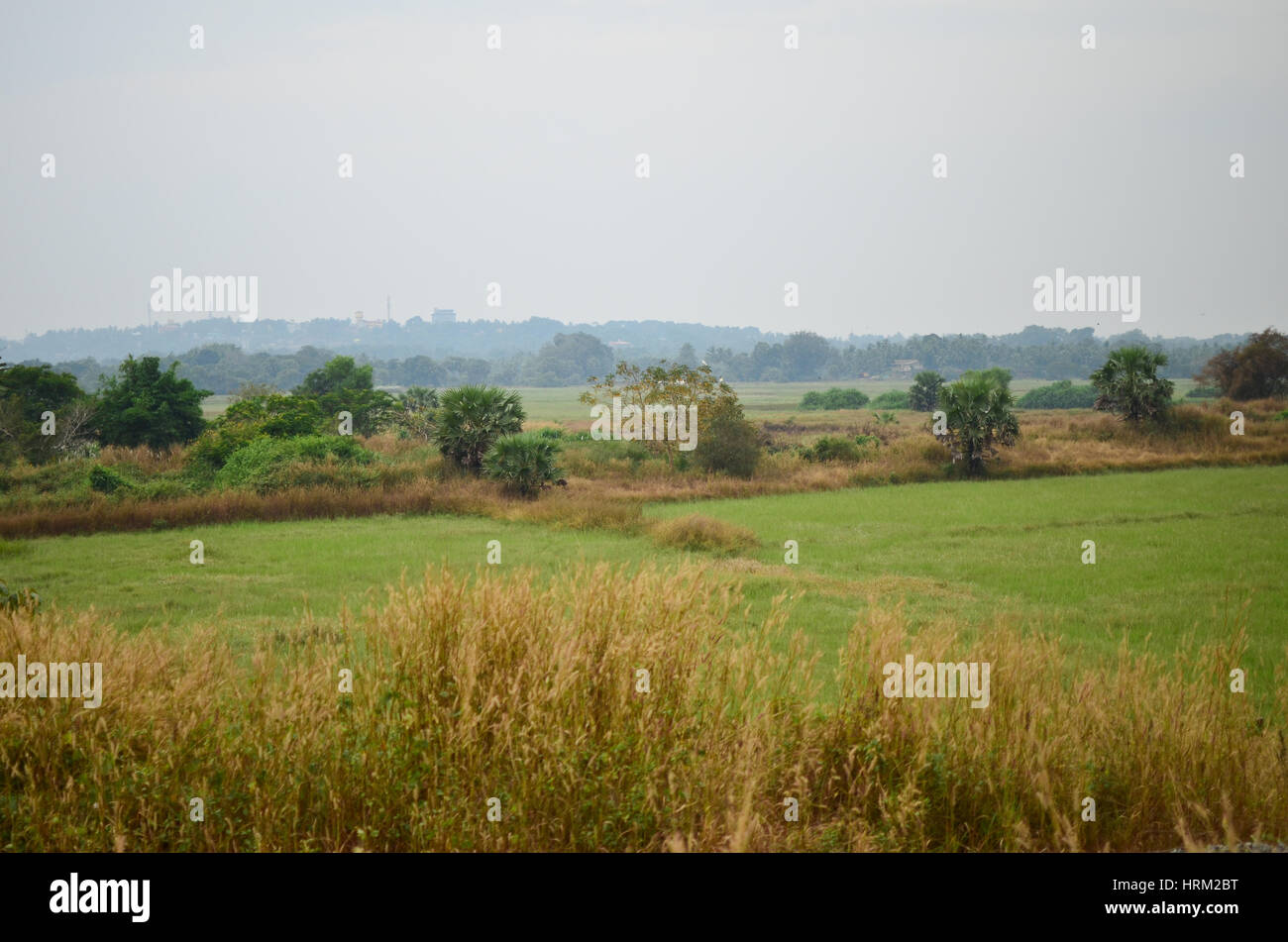Beautiful landscape of rural India. Scene captured during travel by ...