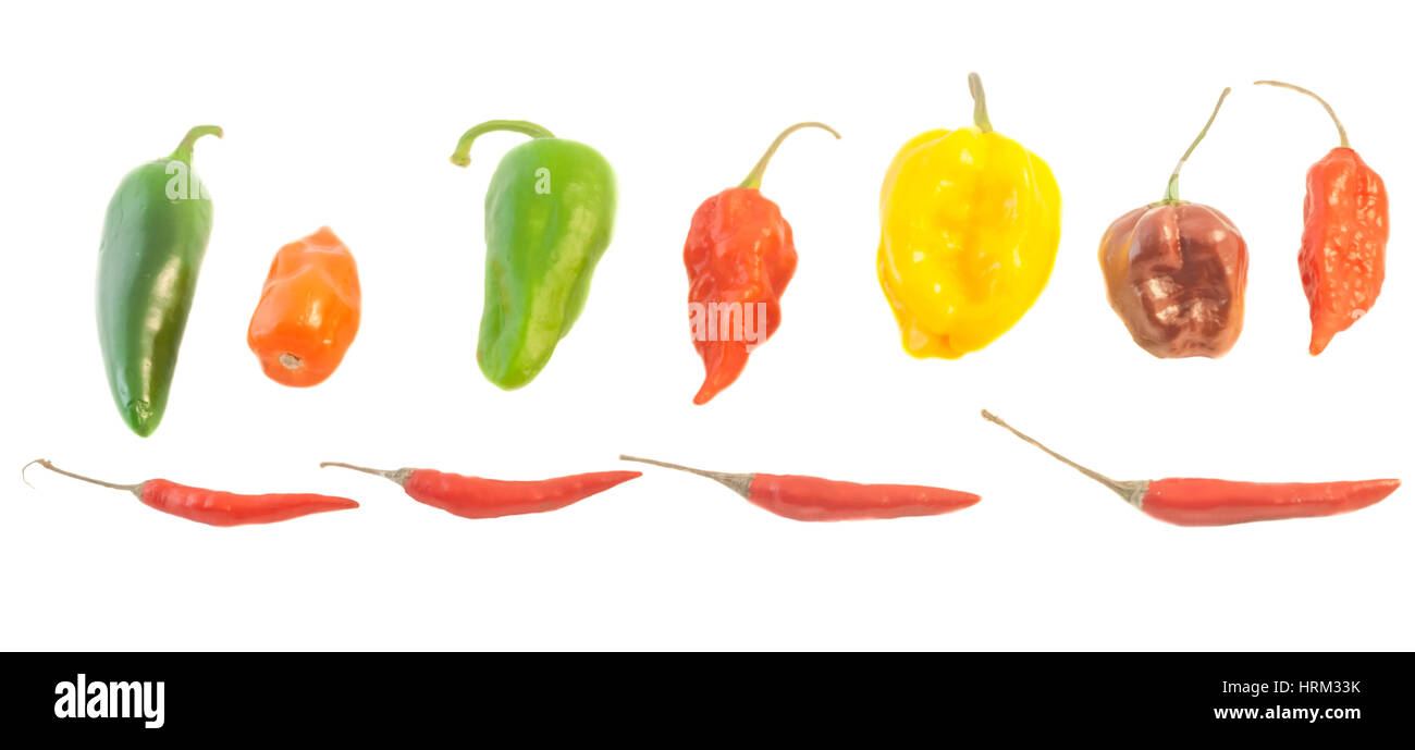 beautiful variety of american chilli in a white background Stock Photo ...
