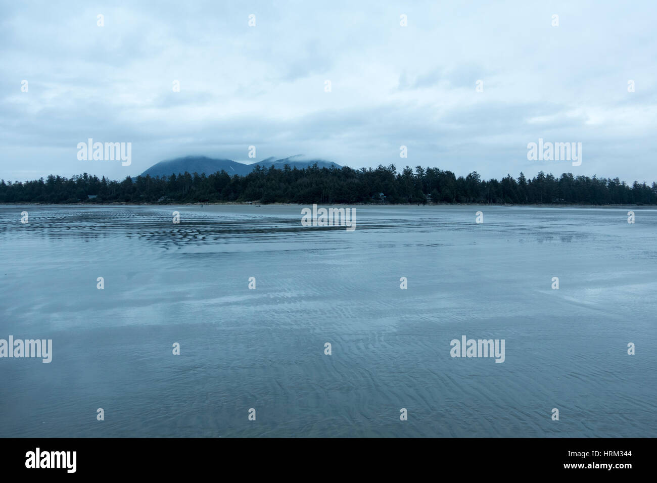 Chesterman beach tofino hi-res stock photography and images - Alamy