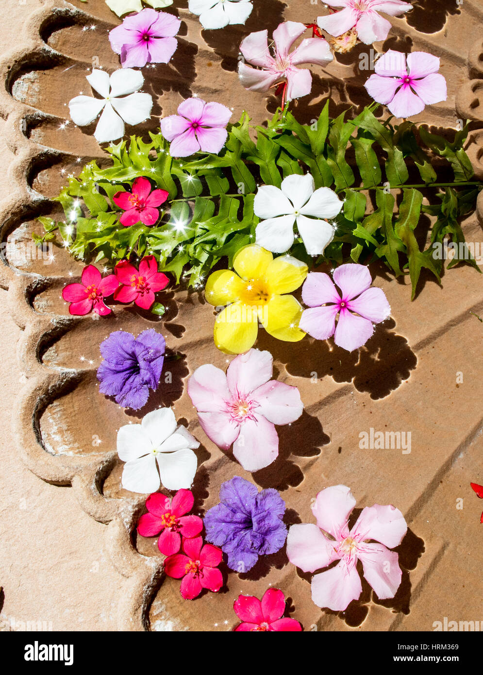 Flower Display In St. Lucia Caribbean Stock Photo - Alamy