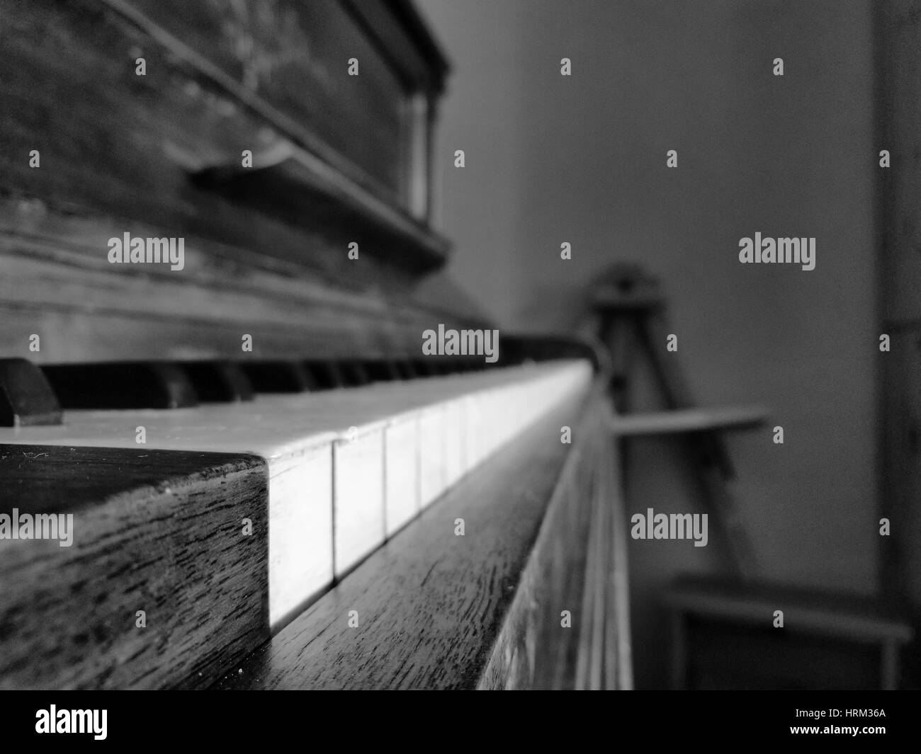 Close up view of piano keys monochrome Stock Photo - Alamy