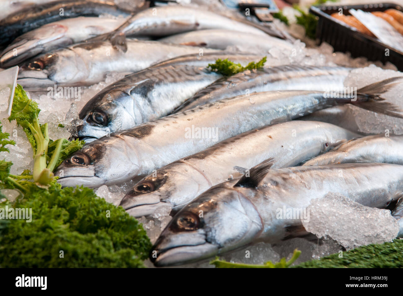 Mackerel fish on ice at the local market Stock Photo - Alamy