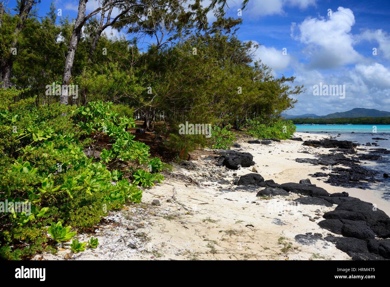 Ilot des deux cocos island hi-res stock photography and images - Alamy