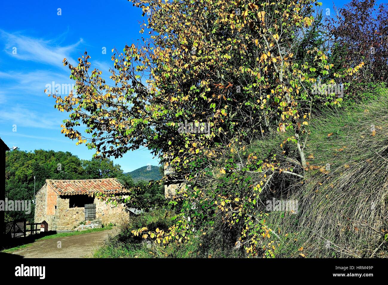 Garrotxa volcanic zone natural park hi-res stock photography and images ...