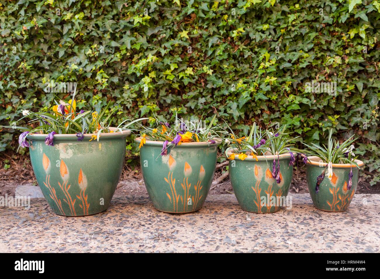 Row of flower pots hi-res stock photography and images - Alamy