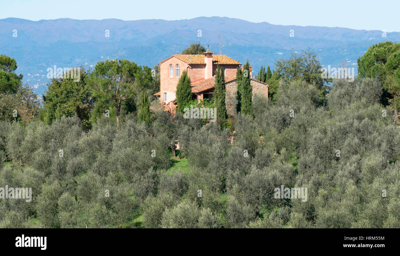 one of the most beautiful region of italy,tuscany Stock Photo - Alamy