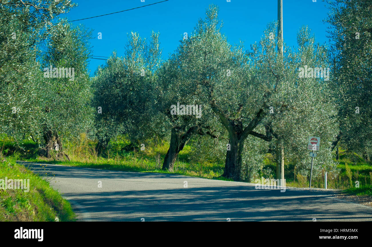one of the most beautiful region of italy,tuscany Stock Photo - Alamy