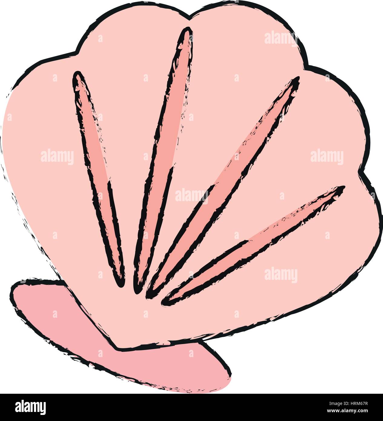 Shell at the caribbean beach Stock Vector Images - Alamy