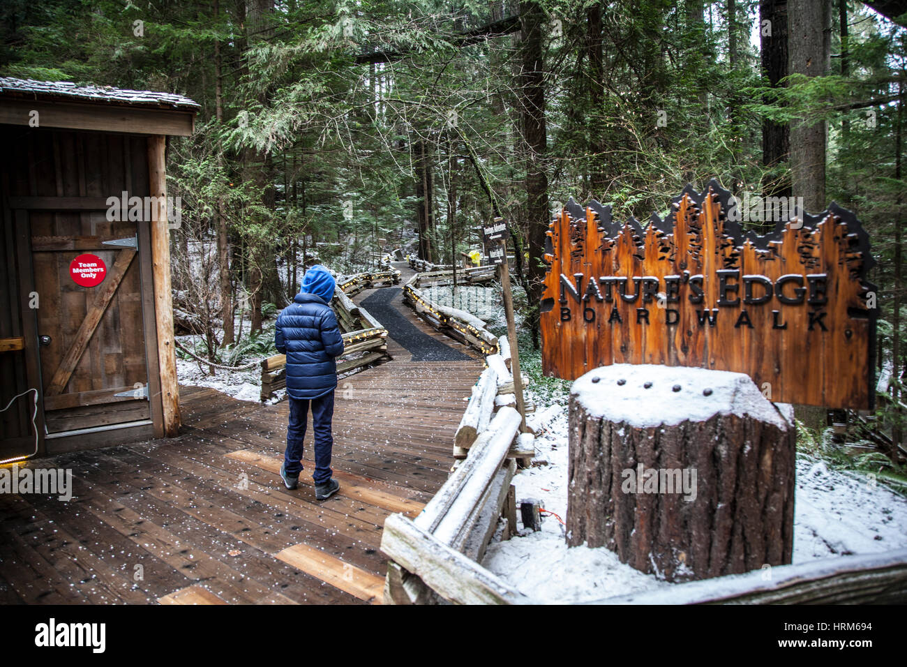 Capilano suspension bridge park lights hi-res stock photography and ...