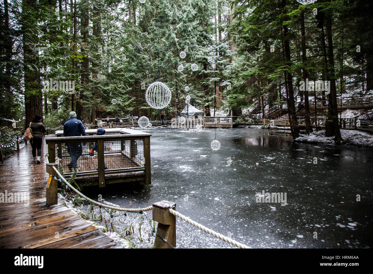 Capilano suspension bridge park lights hi-res stock photography and ...